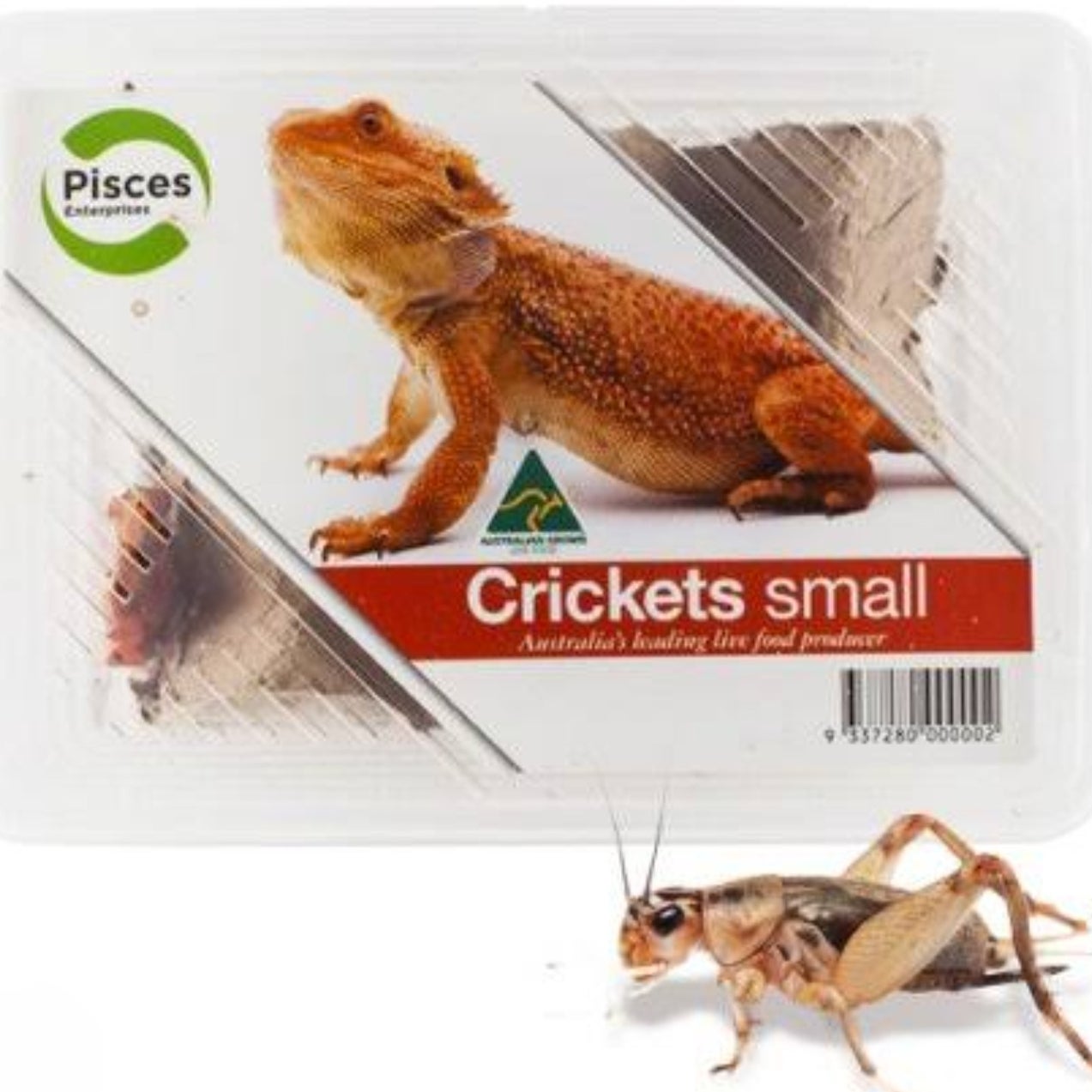 Crickets ( Small) | Aquatic Jungle